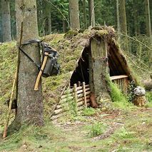 Unleashing the Wilderness Warrior: A Guide to the Art of Bushcraft ...